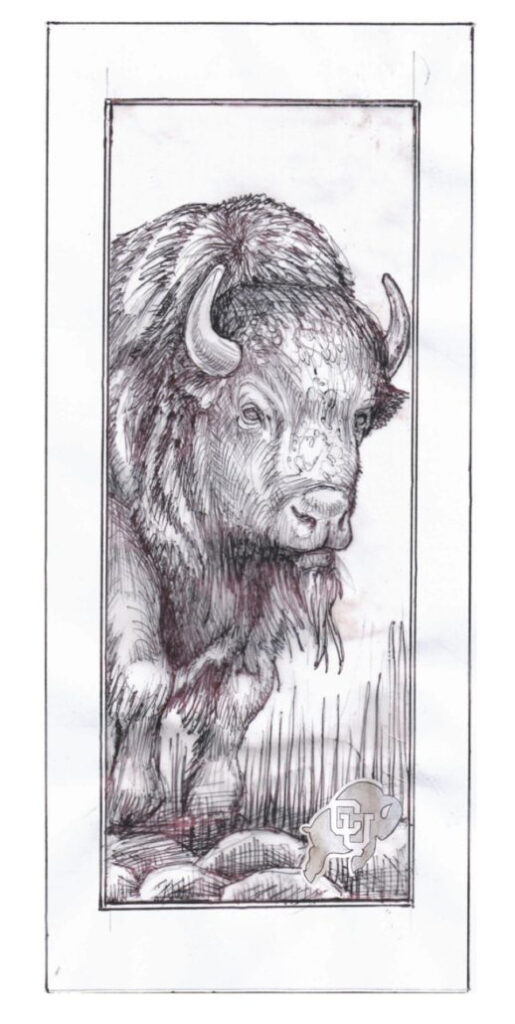 Ralphie Door - Carved Doors USA